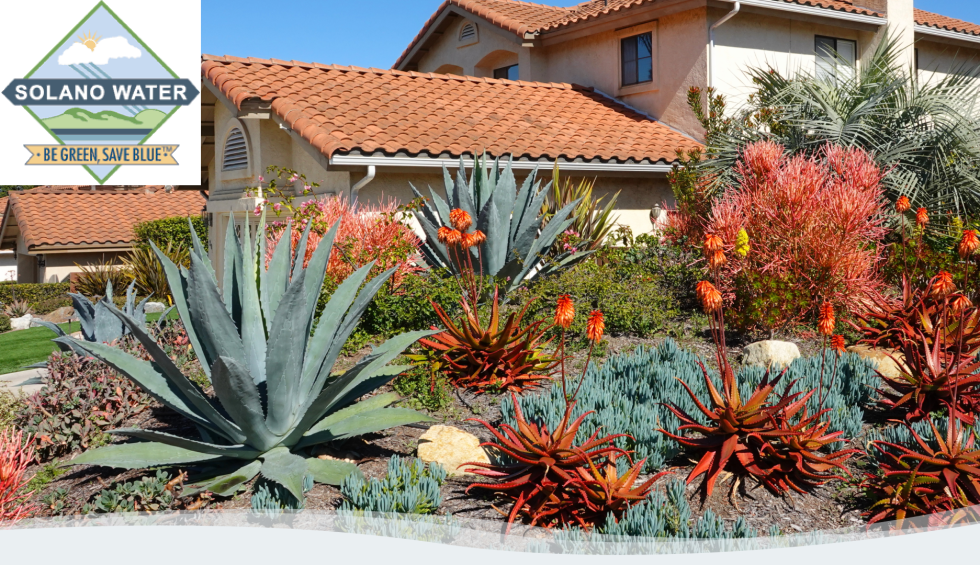 Water Efficiency - scwa2.com